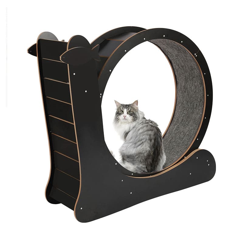 Fitness Exercise Wheel for Cats, Large Cat Treadmill with Carpets ...
