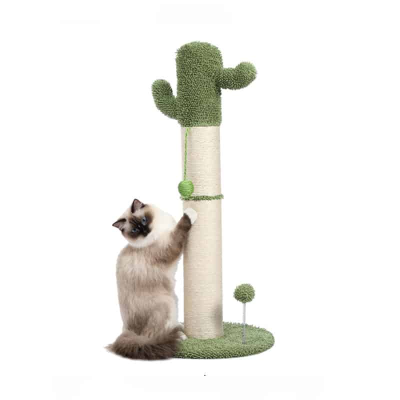 Kitten Scratching Post Cactus with Sisal Rope - Mashoops Cat