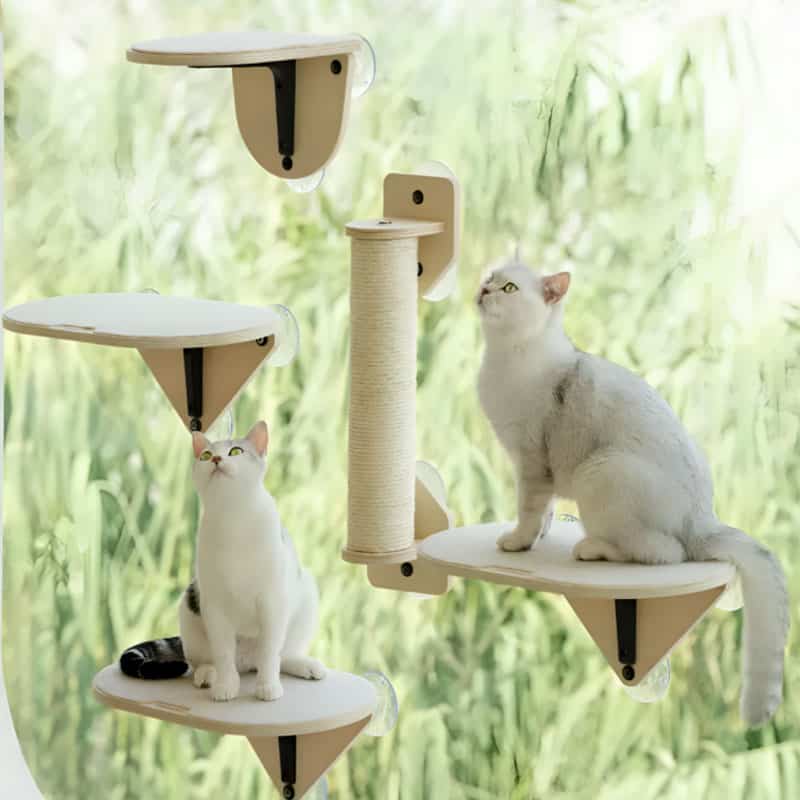 Cat Wall Furniture Glass Suction Cup Wall Shelf Cat Window Jump ...
