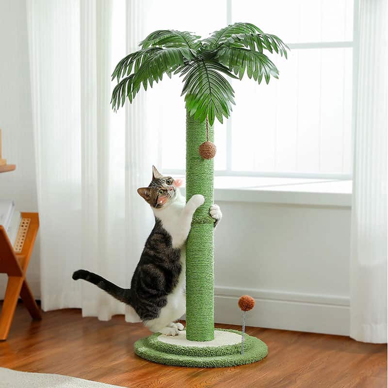Coconut Tree Style Cat Scratching Post for Large Cats - Mashoops Cat