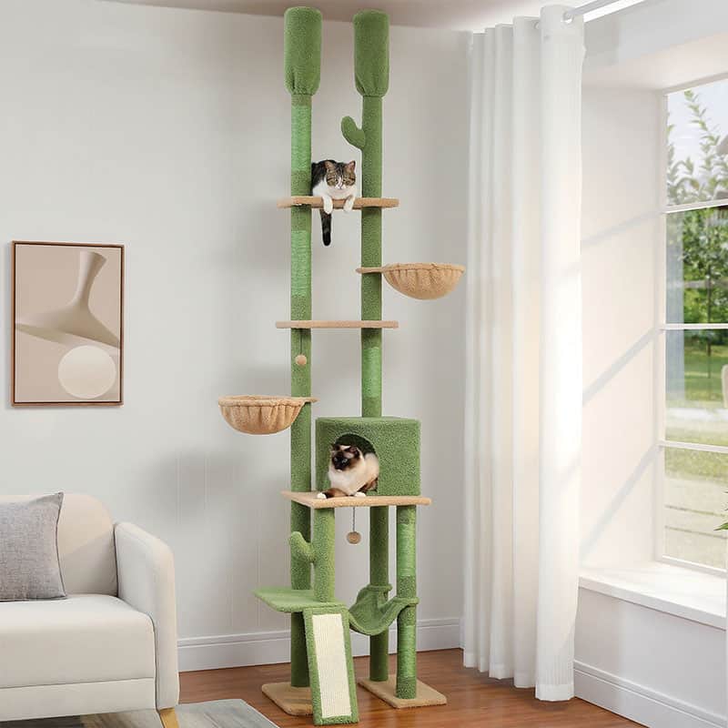 Floor to Ceiling Unique Cactus Cat Tree for Cat Jumping Platform ...