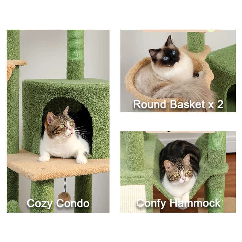 Floor to Ceiling Unique Cactus Cat Tree for Cat Jumping Platform ...