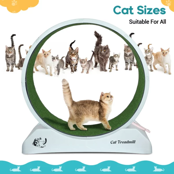 Noiseless Cat Running Toy Wheel Exercise Treadmill Cat Fitness Roller ...