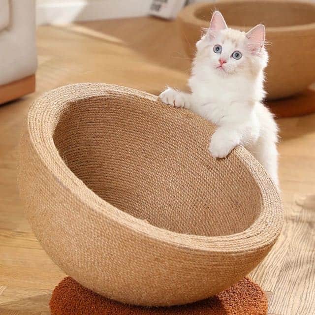 Natural Sisal Cat Beds Cat Scratching - Mashoops Cat